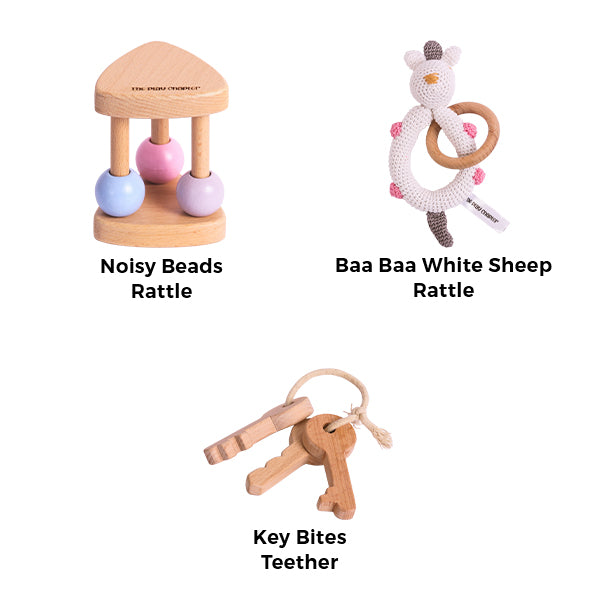 Buy Baby's First Toys Box Online - The Play Chapter